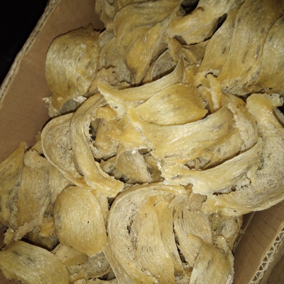 Swiftlets Bird Nest, Food & Drinks, Fresh Produce on Carousell