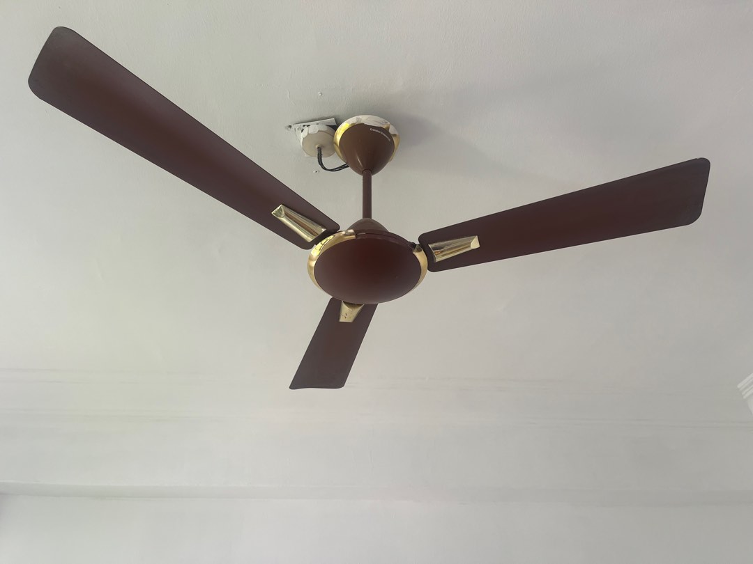 Used ceiling fan, Furniture & Home Living, Lighting & Fans, Fans on ...