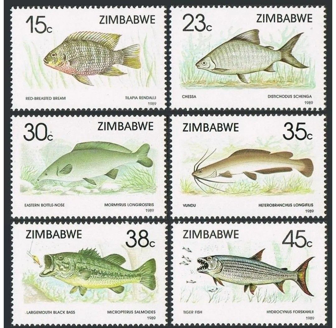 Zimbabwe 1989 Fish complete set of 6 stamps, Hobbies & Toys ...