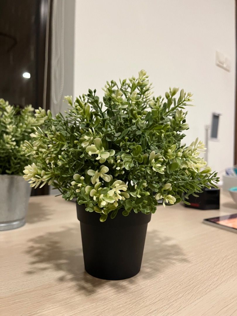 Artificial Potted Plant without Pot, Furniture & Home Living, Home ...