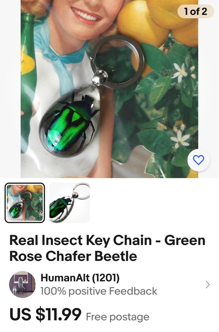 GREEN BEETLE Keychain !, Everything Else on Carousell