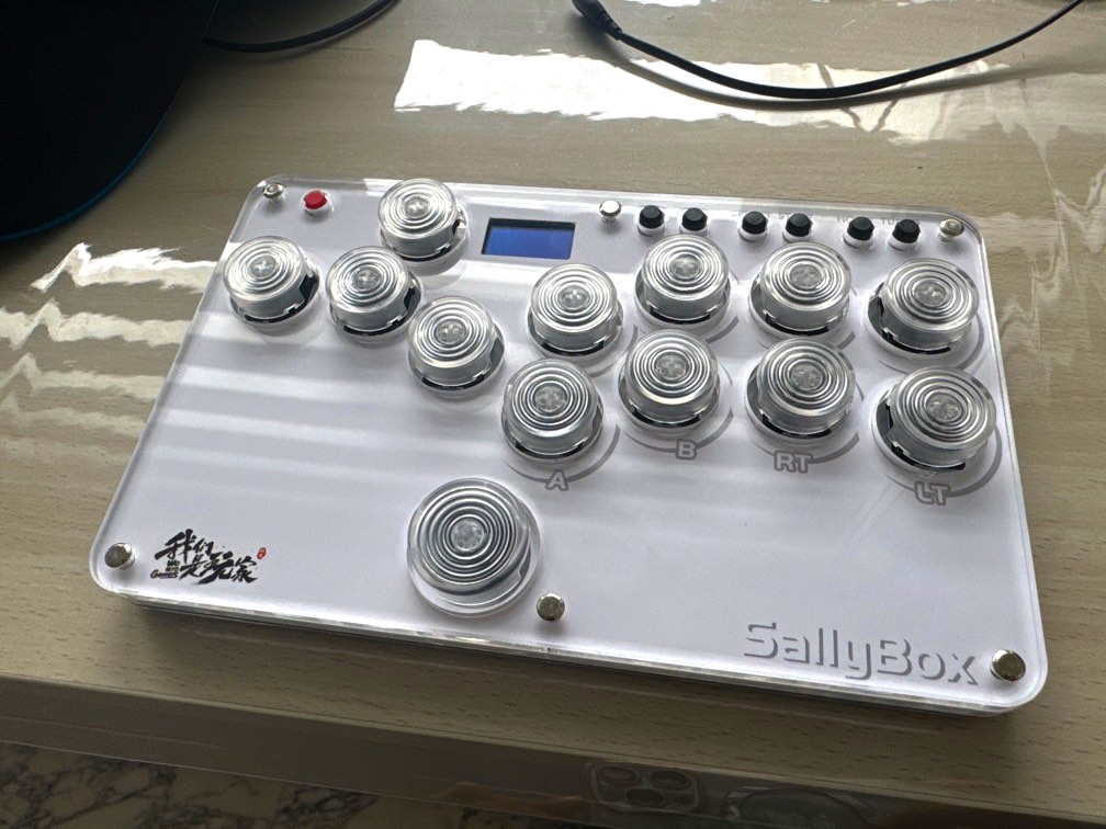 Mint Sallybox Hitbox, Video Gaming, Gaming Accessories, Controllers on ...