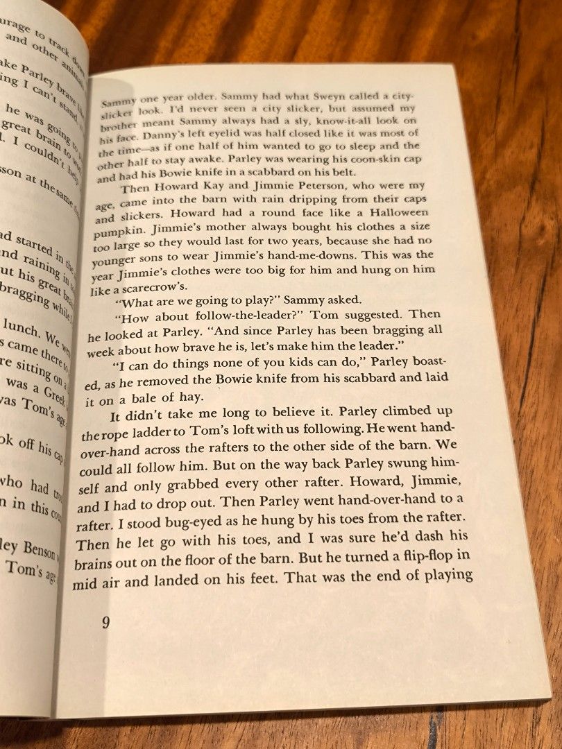 More Adventures Of The Great Brain Book By John D Fitzgerald, Hobbies ...