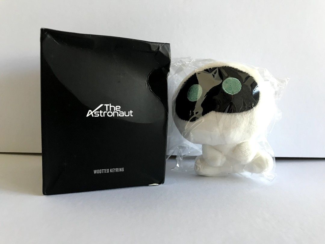 OFFICIAL BTS JIN WOOTTEO KEYRING, Hobbies & Toys, Memorabilia ...
