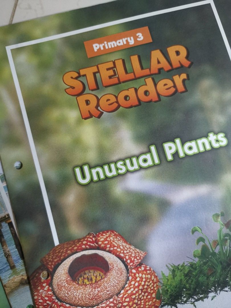 P3 Textbooks Maths, Malay & Stellar Reader, Hobbies & Toys, Books ...