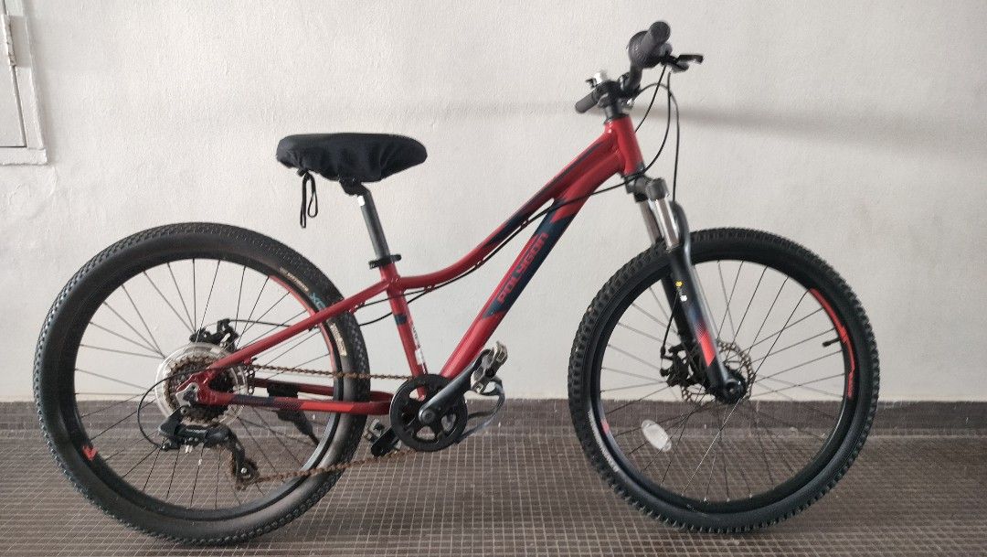 Polygon 24" Mountain Bike, Sports Equipment, Bicycles & Parts, Bicycles ...