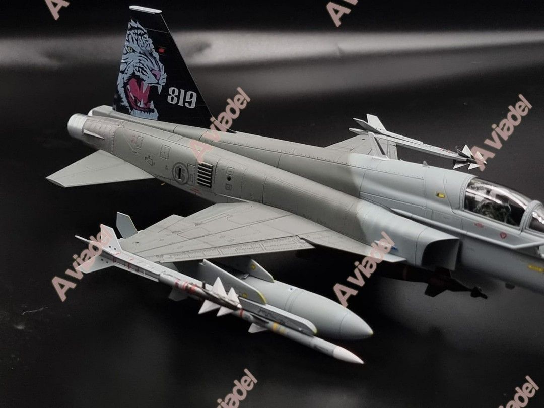 RSAF F-5S Tiger II 1/48 Hotshot 2014 & Top Ace Challenged 2015, Hobbies ...