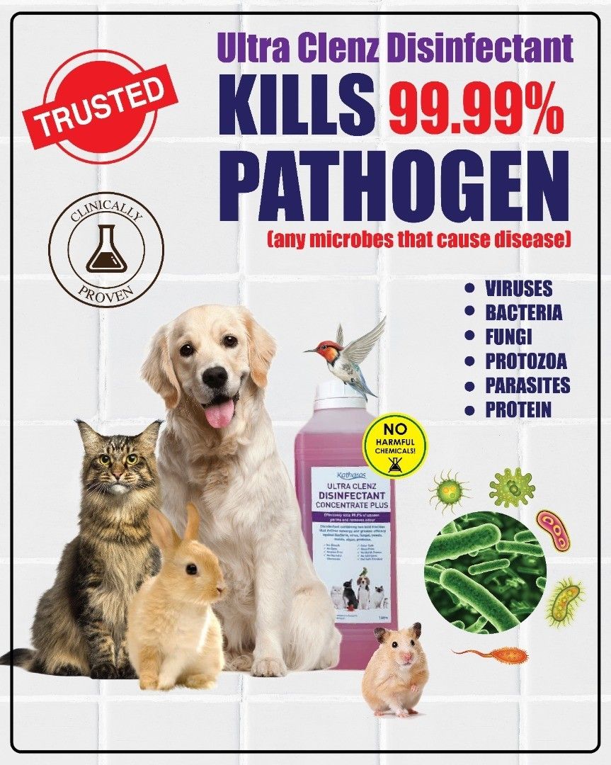 Ultra Clenz Disinfectant - 1Litre, Pet Supplies, Health & Grooming on ...