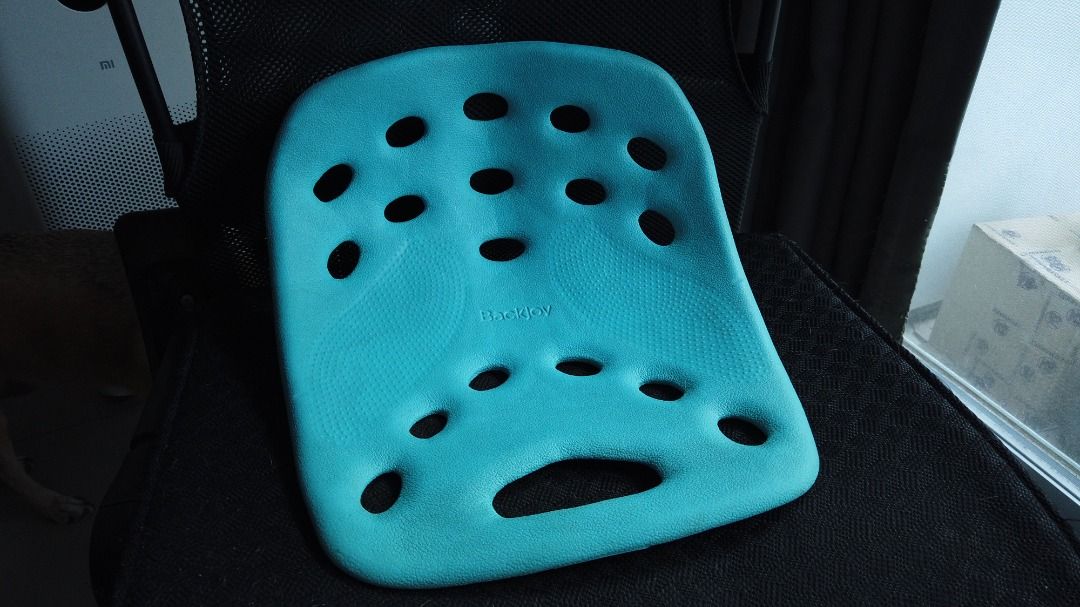 BackJoy SitSmart Posture Plus (Cyan Blue), Health & Nutrition, Braces, Support & Protection on ...