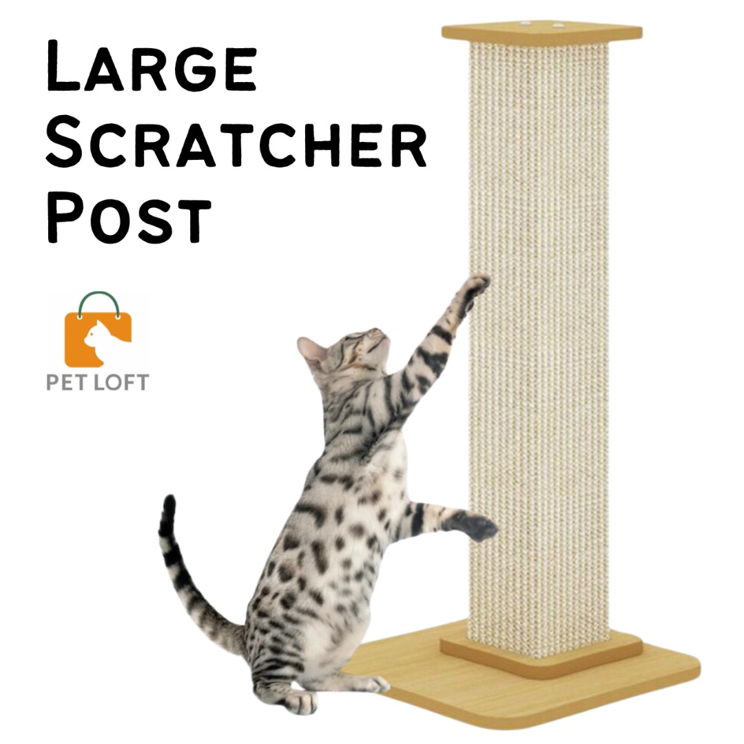 Cat Scratch Post Large Cat Post Scratching Post Stable Durable Cat ...