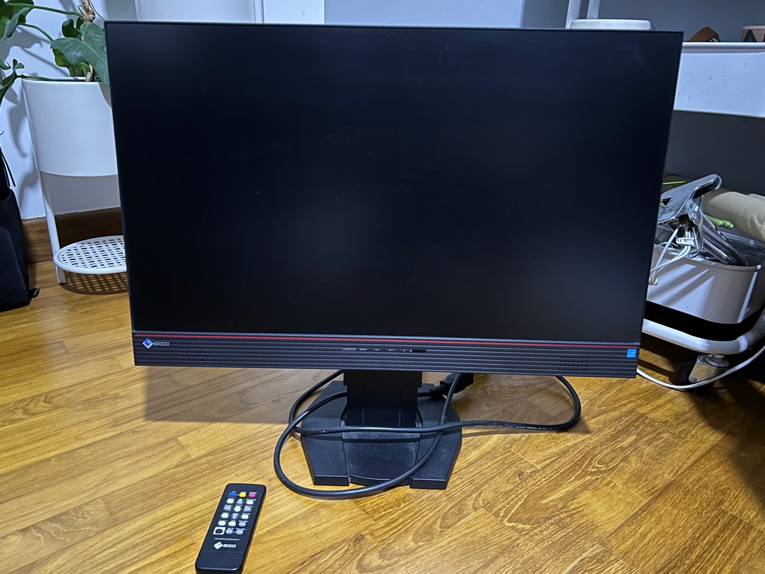 Eizo 24 inch Monitor (FS2434), Computers & Tech, Parts & Accessories ...
