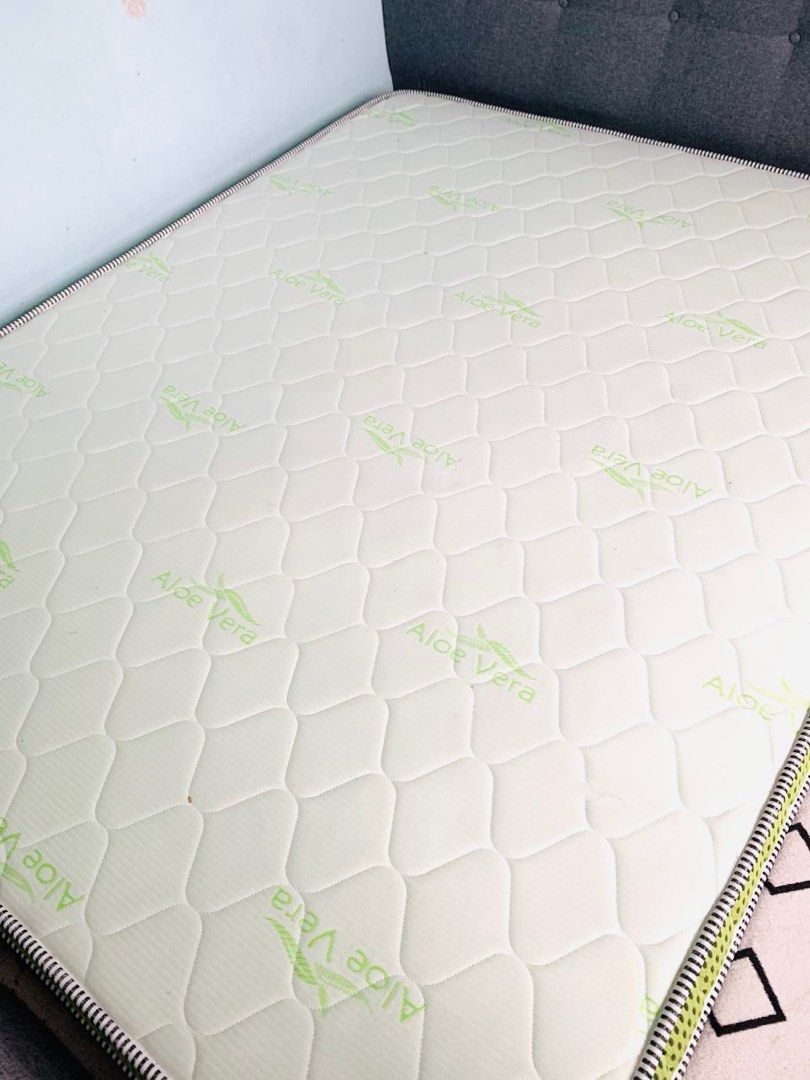 Tilam queen free defect bedframe, Furniture & Home Living, Furniture ...