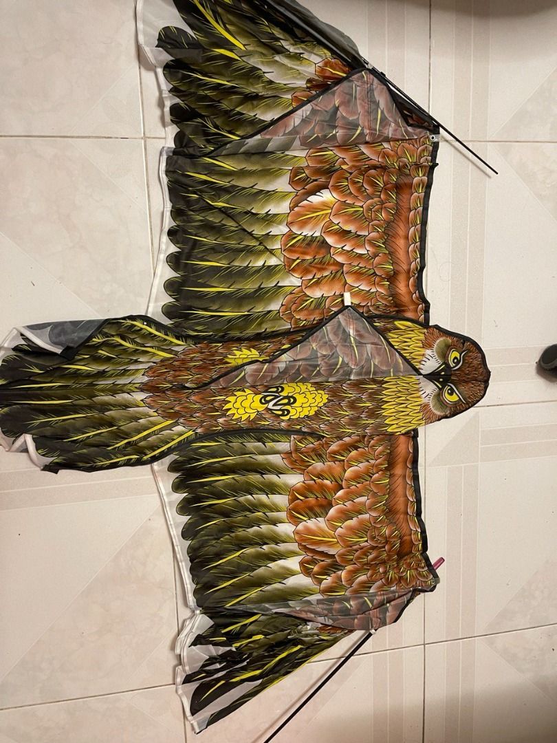 Kite - Eagle (including string), Hobbies & Toys, Toys & Games on Carousell