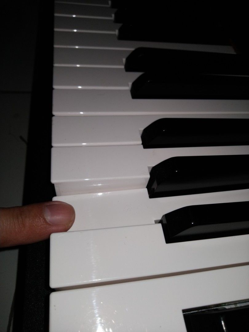 88 Keys: Korg D1 Grand Piano Keyboard Organ vs Casio Yamaha Roland ...