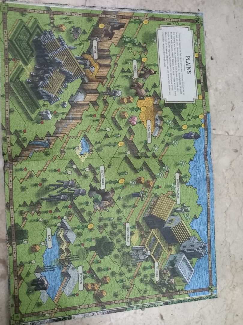 Minecraft Maps, Hobbies & Toys, Books & Magazines, Children's Books on ...