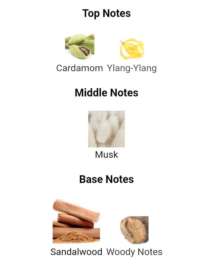 Narciso Rodriguez Santal Muse Intense EDP 100ml, Beauty & Personal Care ...