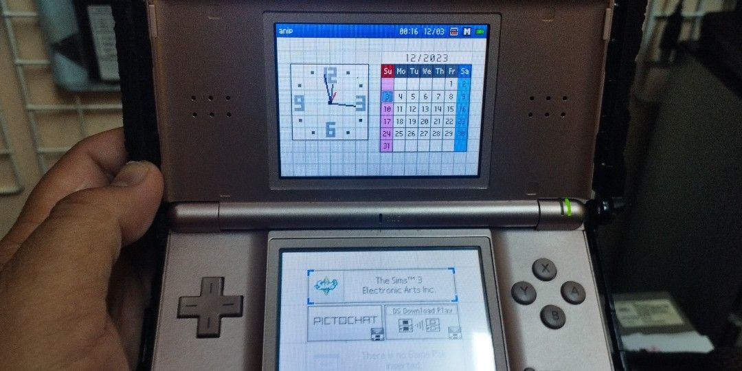 NINTENDO DS LITE SIMS 3 CATEIDGE ONLY, Video Gaming, Video Games ...