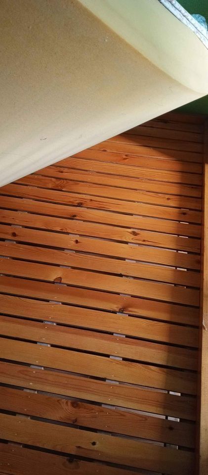 Queen Size Bed with Pullout Bed - Pure Palochina/Pinewood, Furniture ...