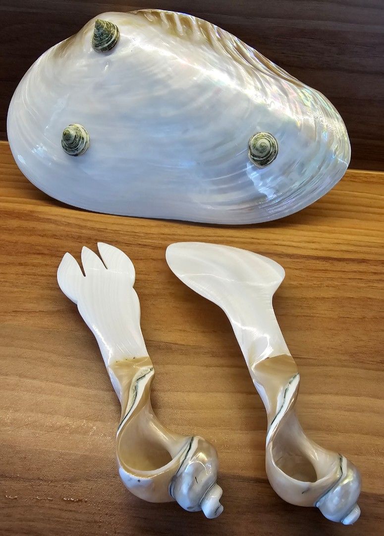 Seashell made plates and cultery, Furniture & Home Living, Kitchenware ...