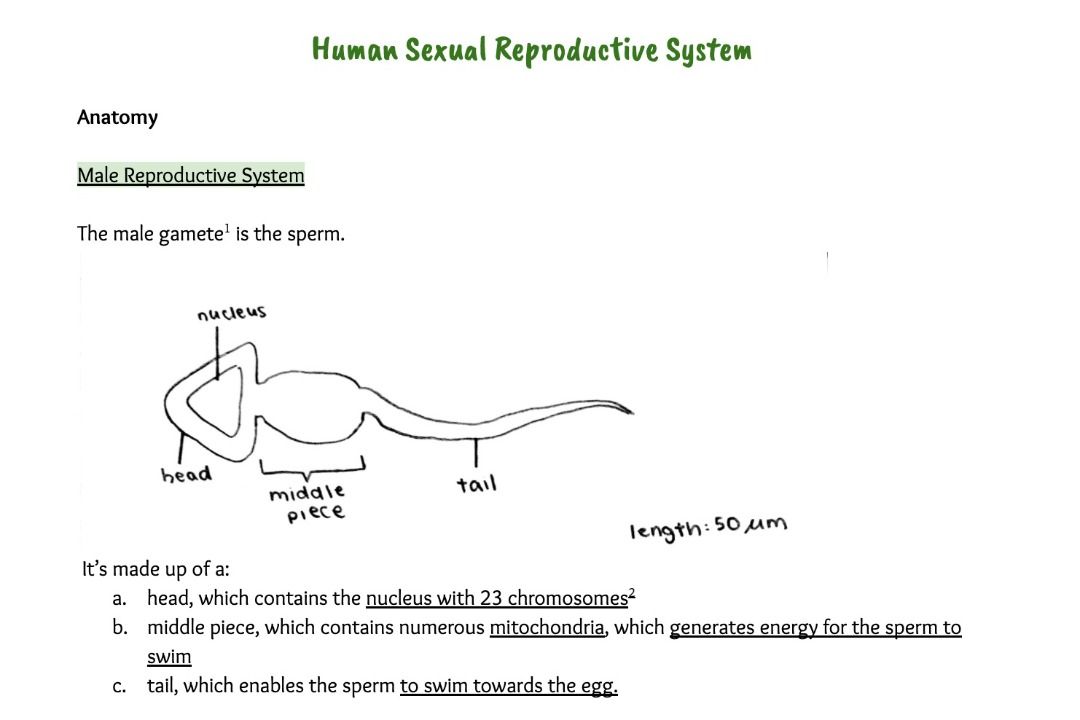 SEC 2 SCIENCE NOTES | RGS, Hobbies & Toys, Books & Magazines, Textbooks ...