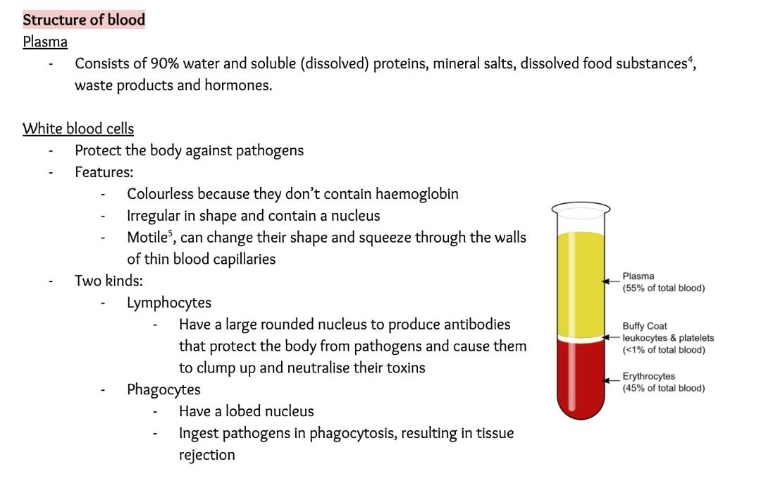 SEC 2 SCIENCE NOTES | RGS, Hobbies & Toys, Books & Magazines, Textbooks ...