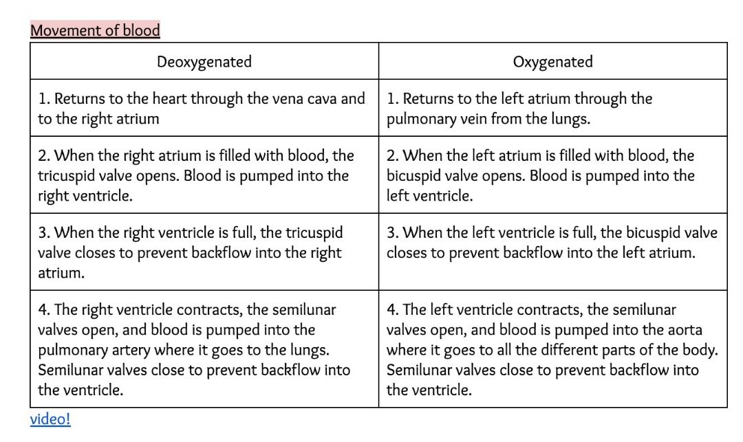SEC 2 SCIENCE NOTES | RGS, Hobbies & Toys, Books & Magazines, Textbooks ...