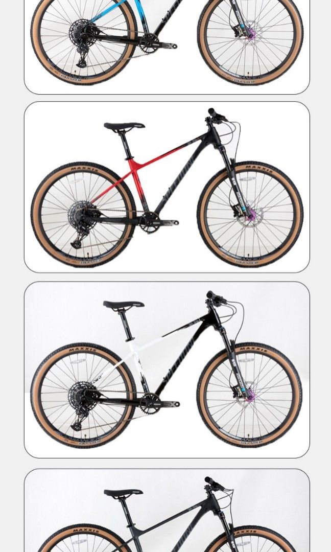 Speedone commander bike frame, XC frame 29 wheel Thru axle, internal ...