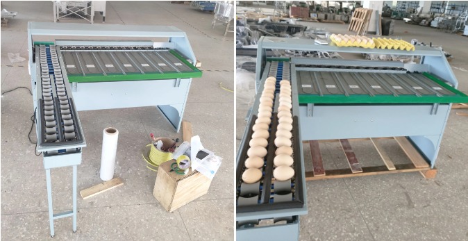 4000pcs/h Automatic Small Scale Grader Sort Egg Grade Machine by Weight ...
