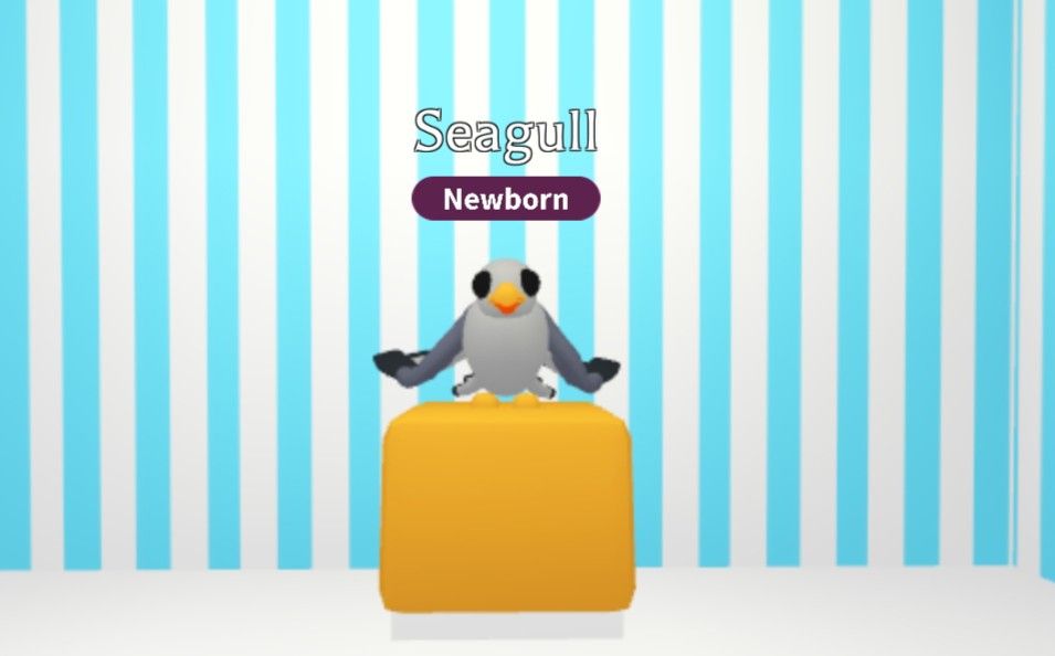 Adopt Me Seagull, Video Gaming, Video Games, Others on Carousell