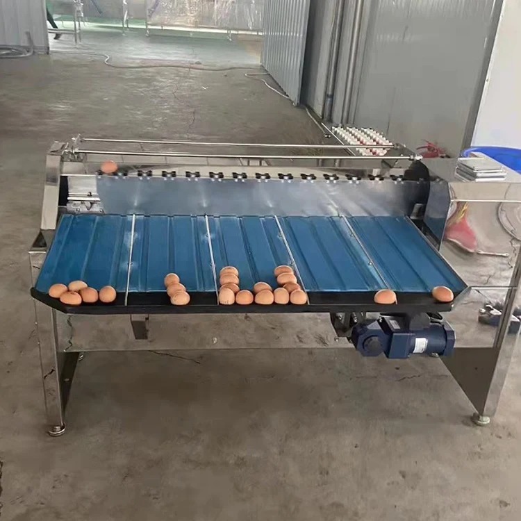 Egg Sorting Grading Machine Egg Grader, chicken egg sorting machine egg ...