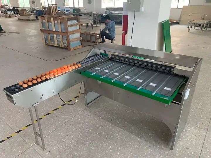 egg weight sorting machine / egg washing and sorting machine ...