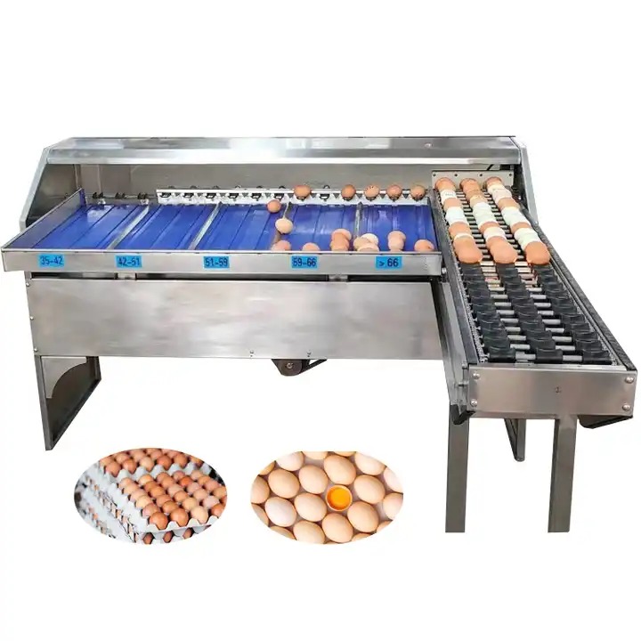 eggs/hour automatic egg grading machine, Commercial & Industrial ...