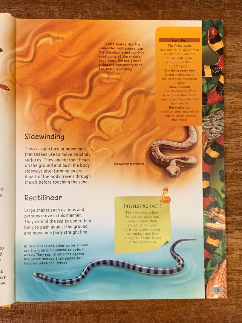 Great Book Predatory Animals Prehistoric And Present-day Dinosaurs ...