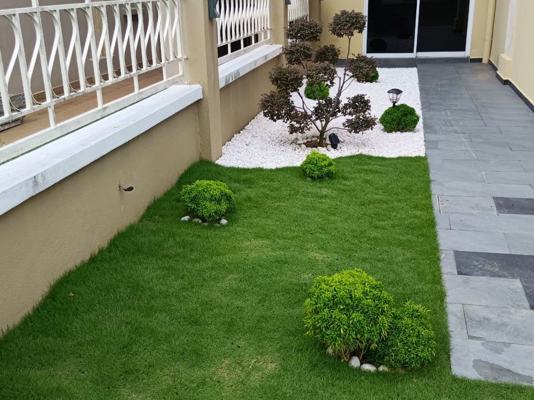 Japanese Grass, Philippines Grass, Cow Grass Installation Service ...
