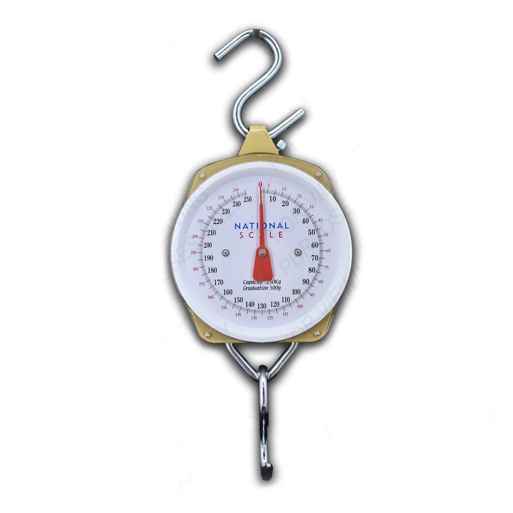 National Scale Brand 200kg / 250kg Hanging Hook Scale, Furniture & Home ...