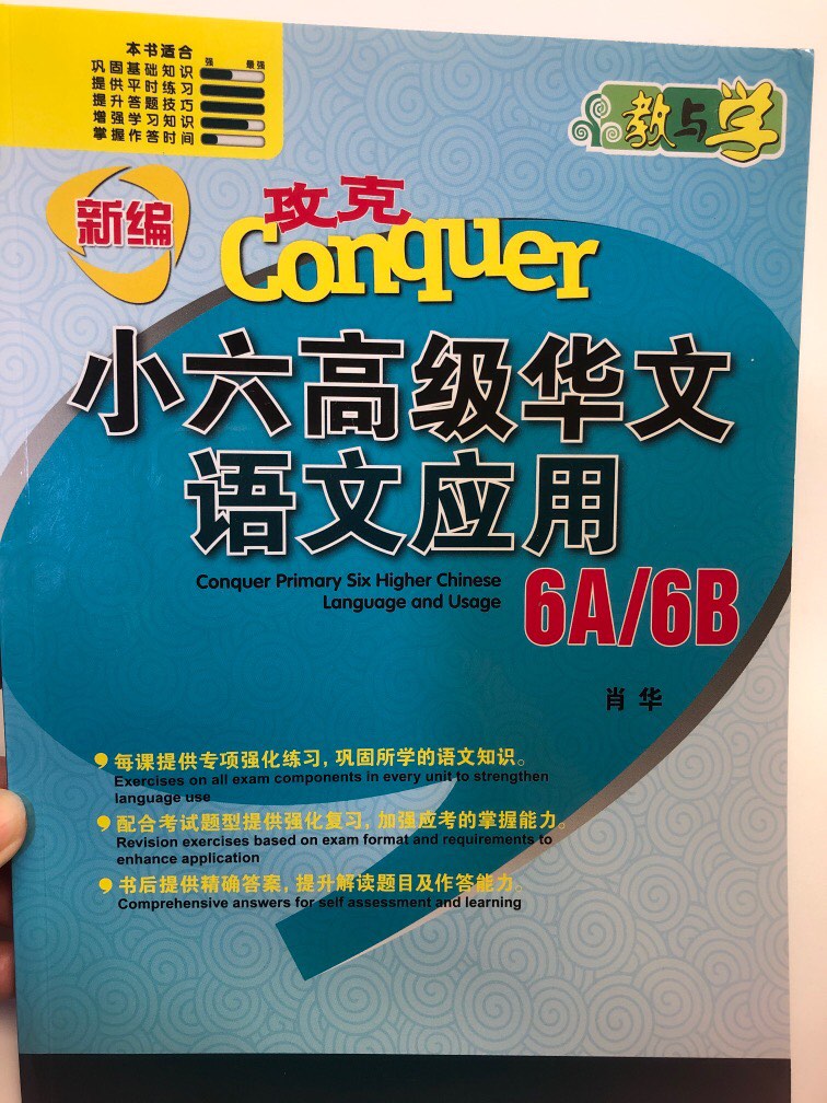 PSLE Primary 6 Higher Chinese language and usage, Hobbies & Toys, Books ...