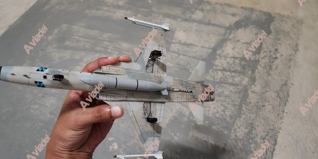 RSAF F-5E Tiger, 820, Hobbies & Toys, Memorabilia & Collectibles ...