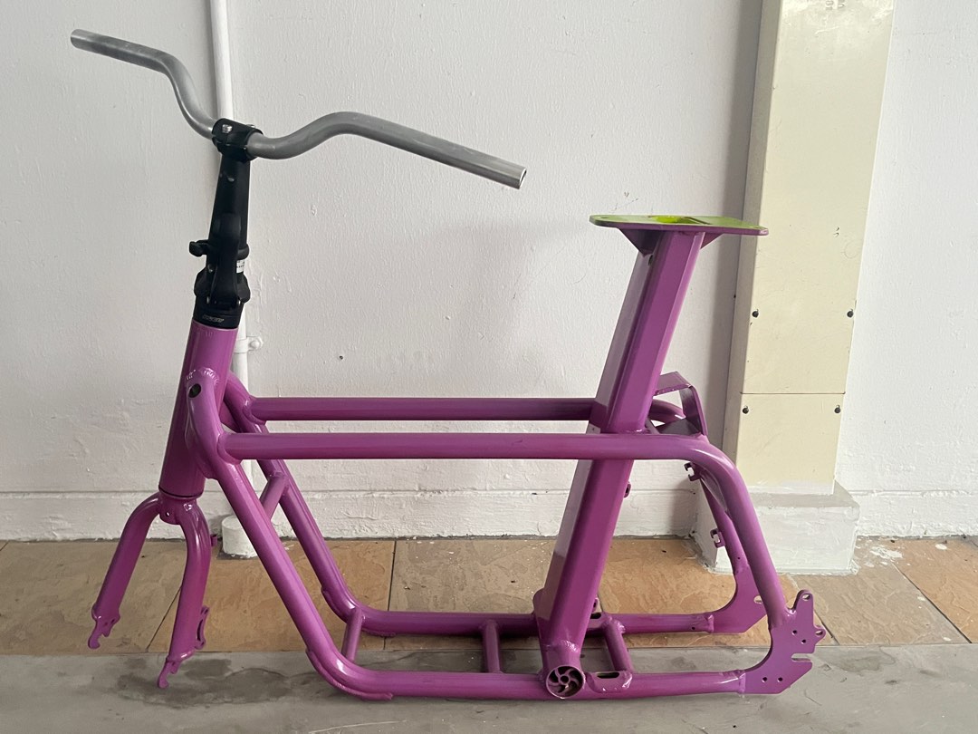 Standard Fiido Frame and Fork, Sports Equipment, PMDs, E-Scooters & E ...