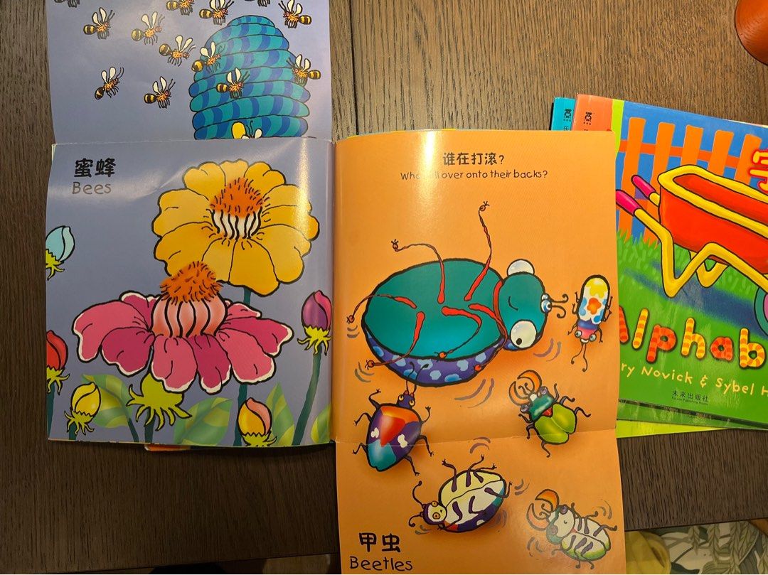 Chinese & English Learning Kids Children Books, Hobbies & Toys, Books ...