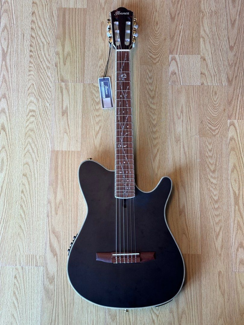 Defected Ibanez TOD10N Tim Henson Classical Guitar, Hobbies & Toys ...