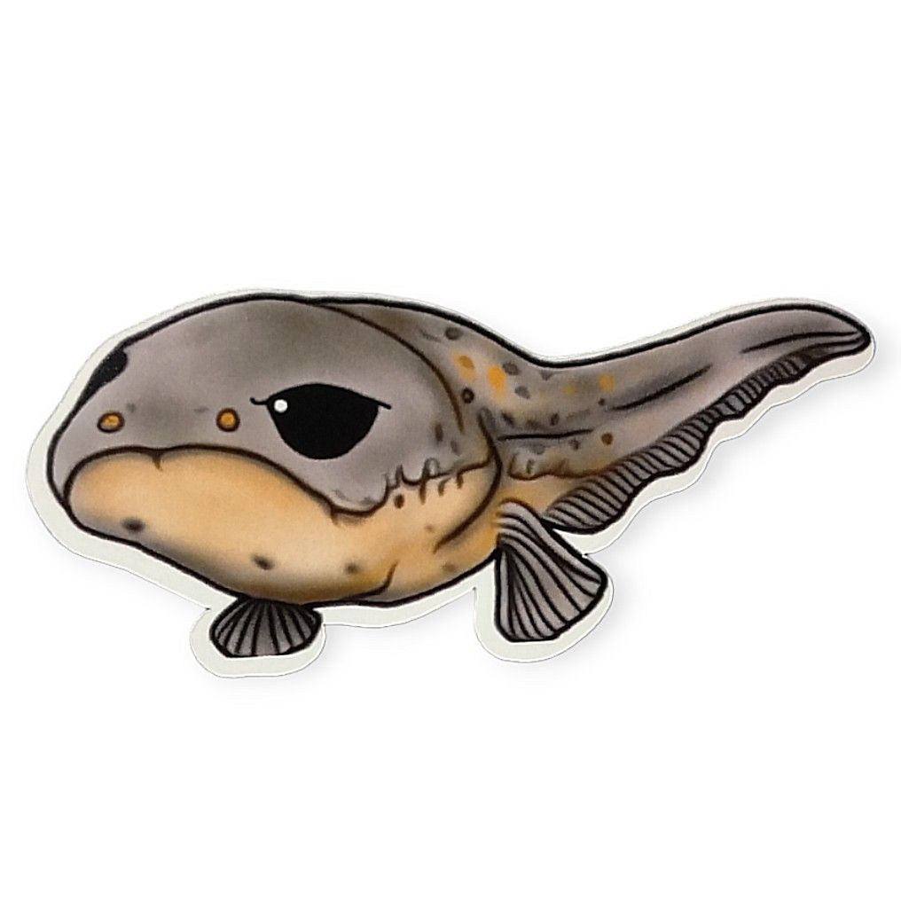 Electric Eel (Upclose) Sticker, Hobbies & Toys, Memorabilia ...