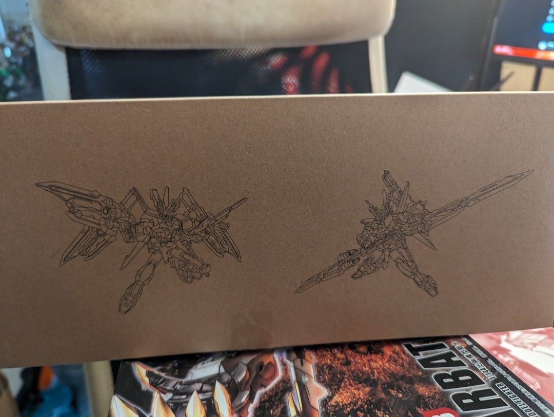 HG Gundam Astray Red Dragon 58A, Hobbies & Toys, Toys & Games on Carousell