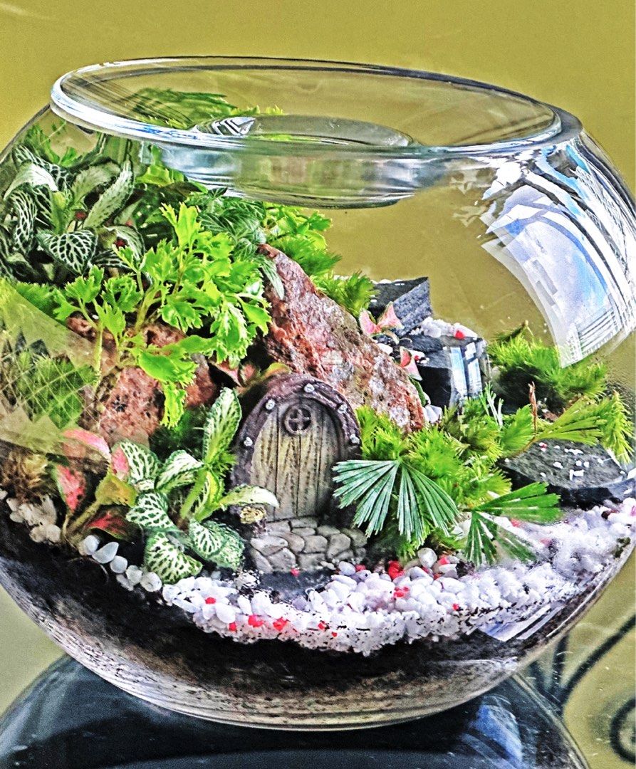 Hobbit Garden Home terrarium, Furniture & Home Living, Gardening ...