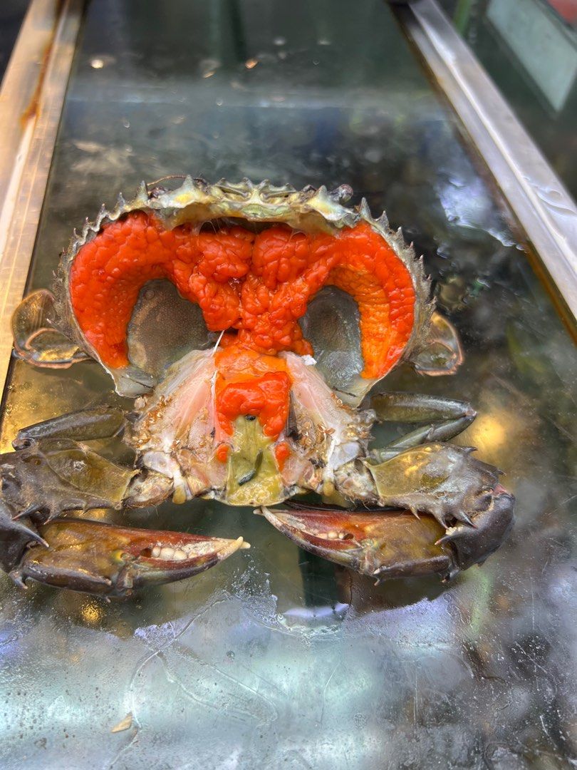 Live Crab Raw Mud Crab Female with Roe Buy 5 Free 1 (Pre Order 1 day ...