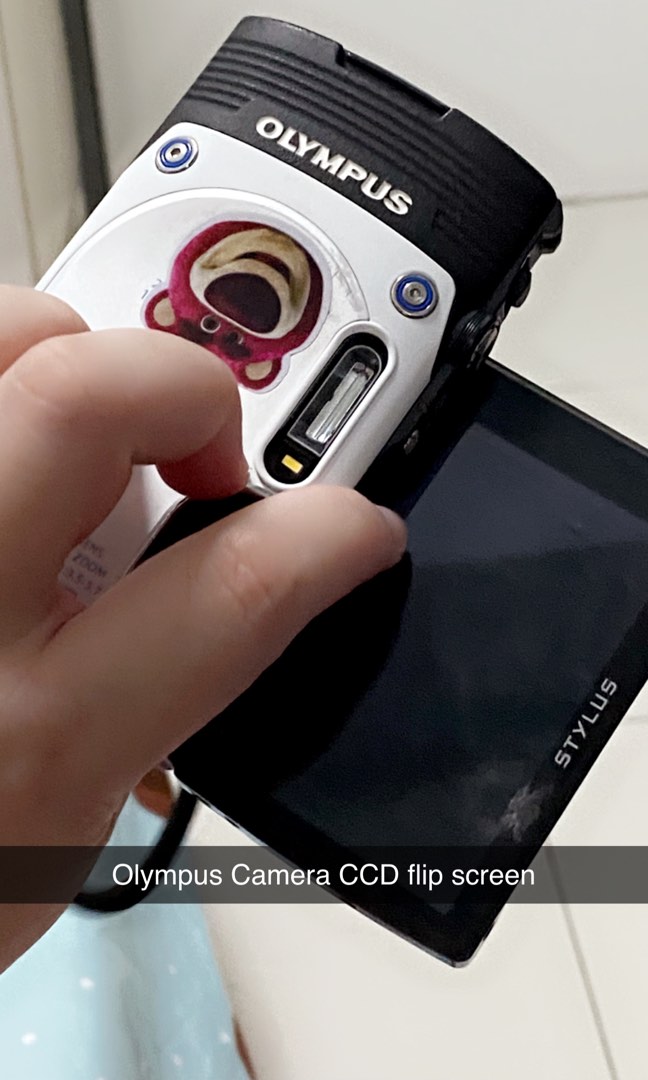 Olympus CCD Flip, Photography, Cameras on Carousell