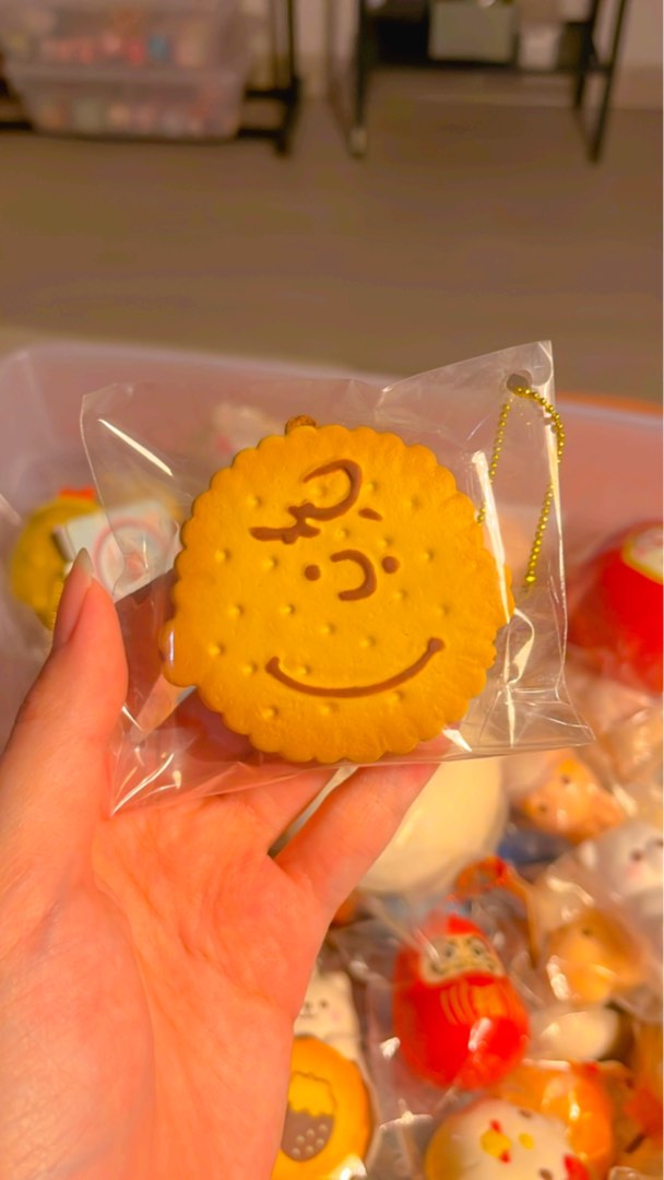 Peanuts Charlie Brown Biscuit Squishy, Hobbies & Toys, Toys & Games on ...