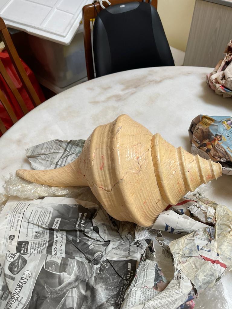 Rare Conch Shell Trumphet, Hobbies & Toys, Memorabilia & Collectibles ...