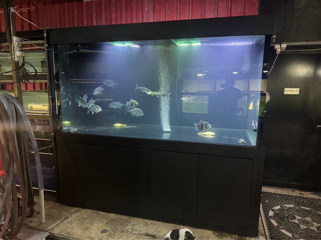 8ft by 4ft by 4ft Fish tank with boxed up cabinet and 6ft monster sump ...