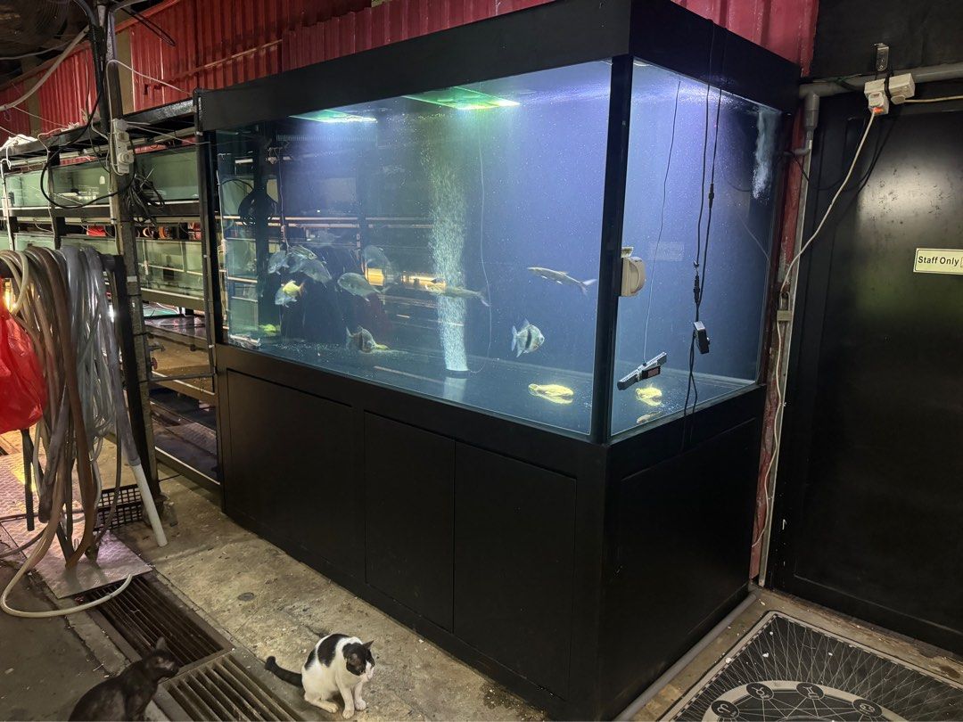 8ft by 4ft by 4ft Fish tank with boxed up cabinet and 6ft monster sump ...