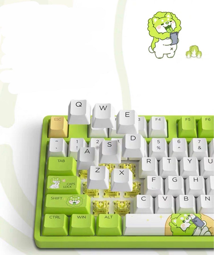 AKKO DODOWO VEGETABLE KEYBOARD LAPTOP / COMPUTER Type C wire / SPEAKER ...
